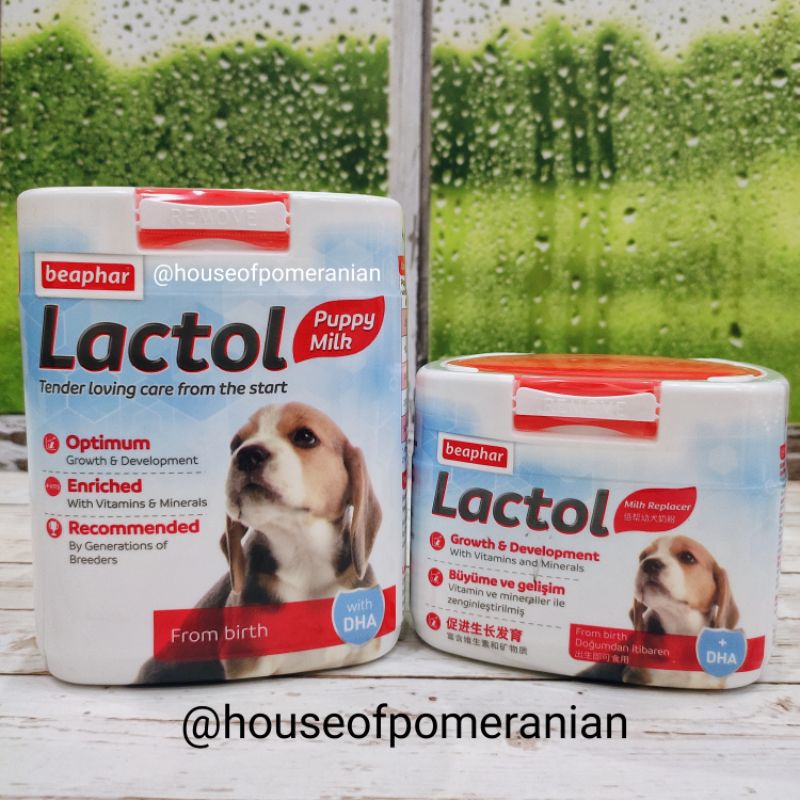 Jual beaphar LACTOL puppy milk 250gr 500gr susu anak anjing induk menyusui sakit | Shopee Indonesia