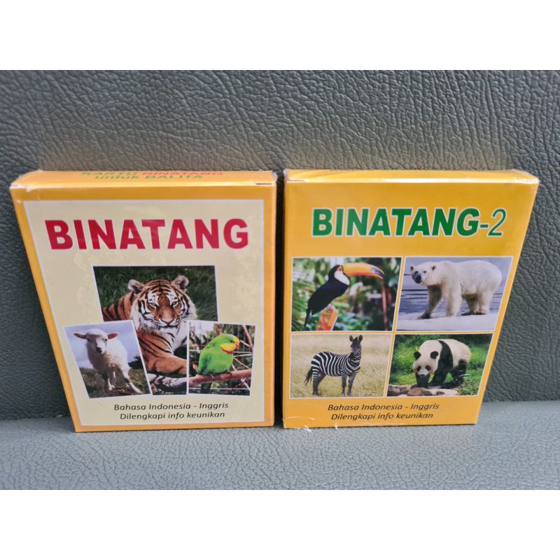 Jual Mainan Edukasi/ Kartu Pintar Hewan/ Flash Card Binatang | Shopee ...
