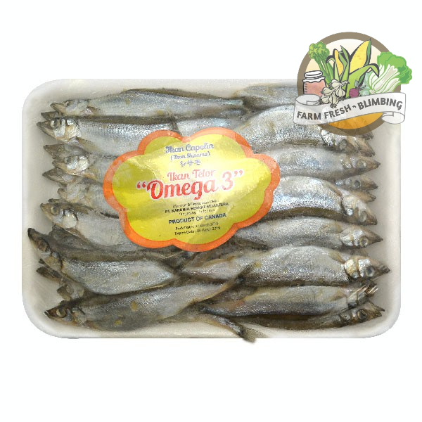 Jual Ikan Capelin 500 Gr Pack Farm Fresh | Shopee Indonesia