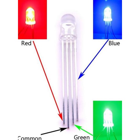 Jual LED RGB 5mm 4 Pin 3 Warna Transparan Common Cathode Katoda CC ...