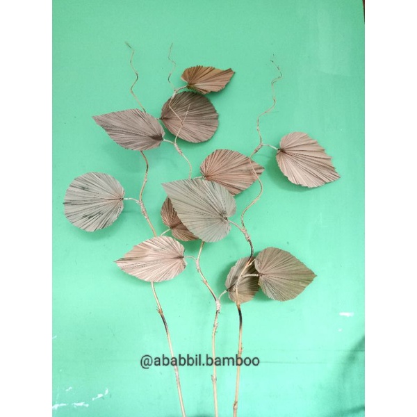 Jual 1 bambu ulir cendani natural daun palem rustik | Shopee Indonesia