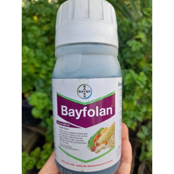 Jual Pupuk Daun Bayfolan kemasan 250ml | Shopee Indonesia