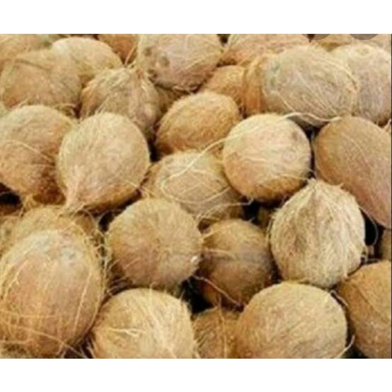 Jual kelapa polmas kupas jambul | Shopee Indonesia Jual kelapa polmas kupas jambul | Shopee Indonesia