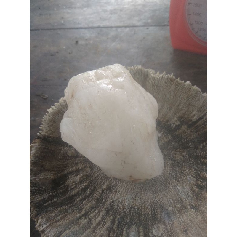 Jual natural batu manih gajah putih super/calcite/akik/asesoris/ring ...