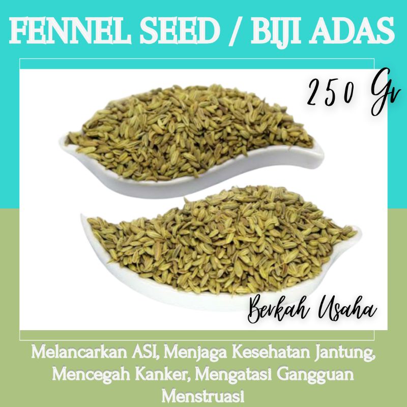 Jual ADAS FENNEL SEED 250 GRAM MENGOBATI NYERI HAID PENCERNAAN BATU ...
