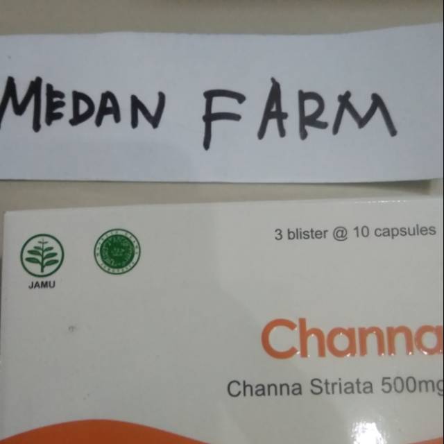 Jual Channa - Channa striata 500 mg | Shopee Indonesia