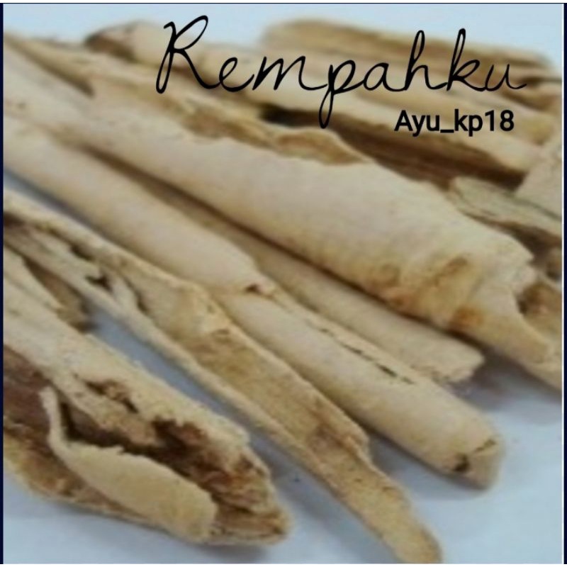 Jual KAYU PULOSARI | Shopee Indonesia