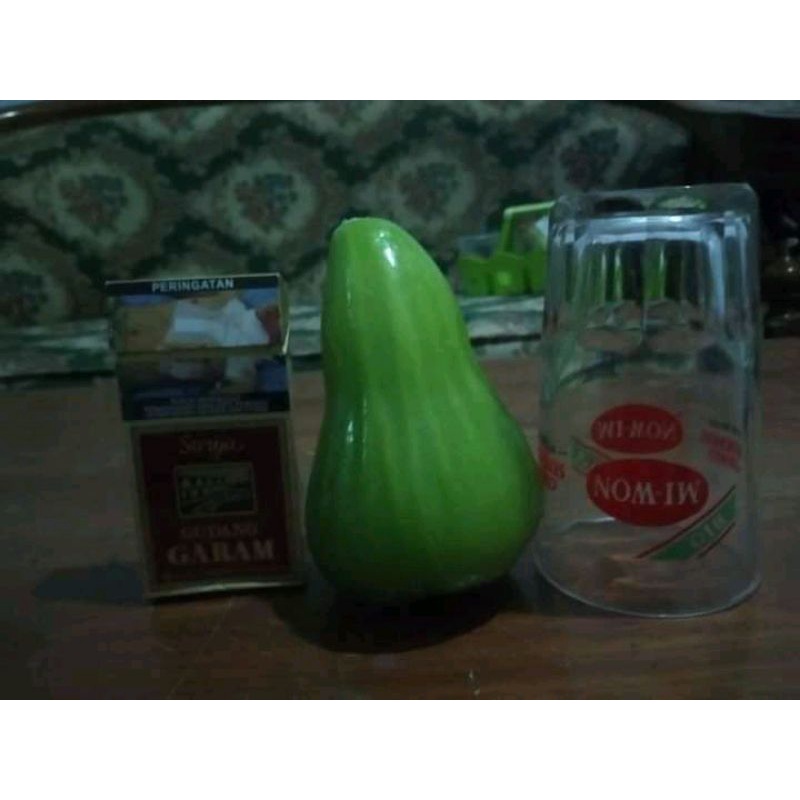 Jual Bibit Jambu Green Giant okulasi tinggi 1meter lebih | Shopee Indonesia