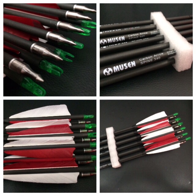 Jual Selusin (12 Pcs) Anak Panah Karbon Vanes Bulu Kalkun / 1 Dozen ...