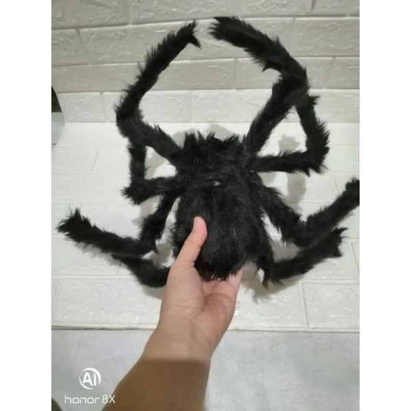 Jual mainan laba laba hitam plush prank 60cm | Shopee Indonesia