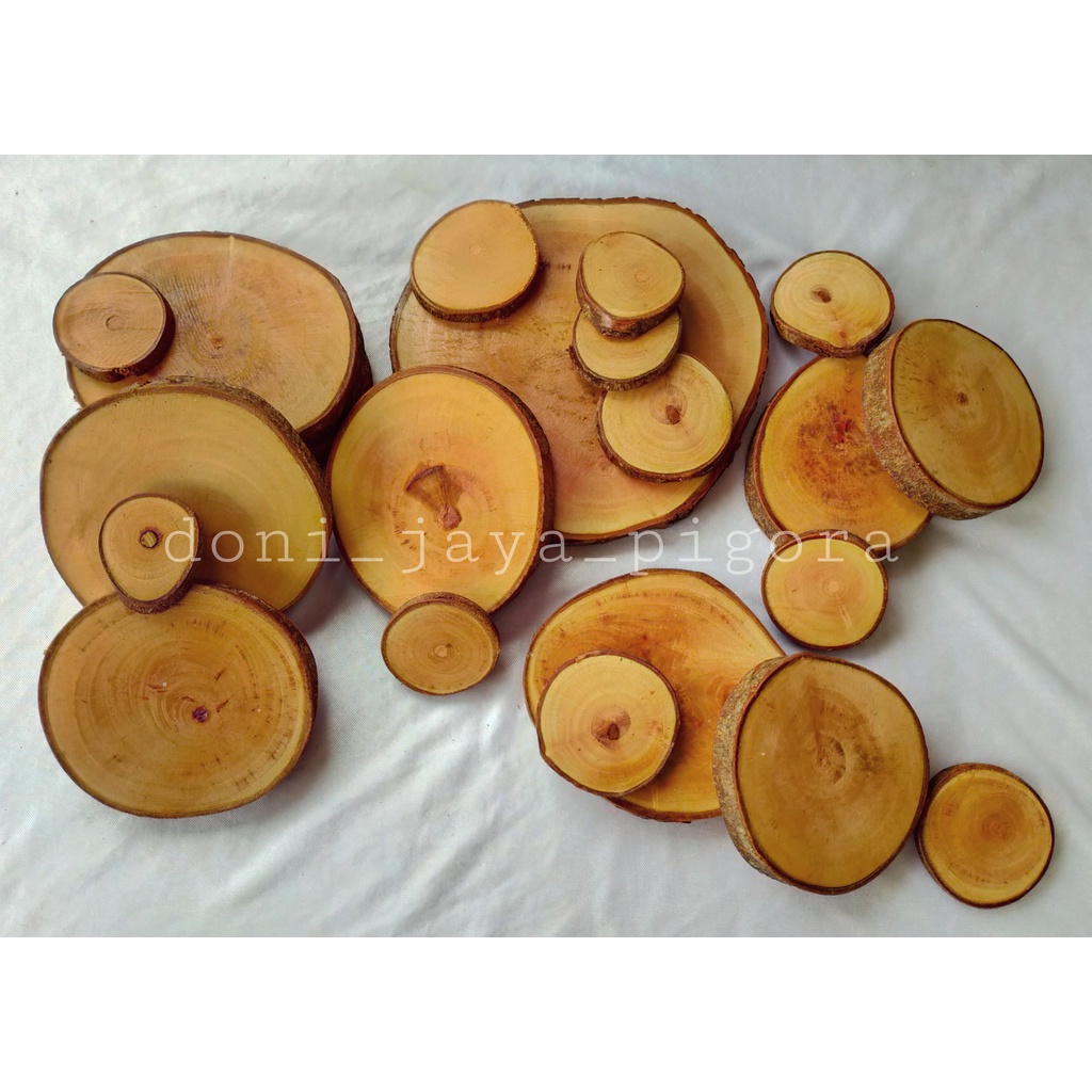 Jual 23-25 cm Wood Slice/ Potongan Kayu/ Irisan Kayu Alami (sudah ...