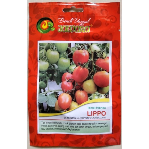 Jual BENIH TOMAT LIPPO 0.5 GR | Shopee Indonesia