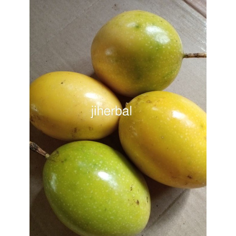 Jual buah markisa kuning segar 1 kg | Shopee Indonesia