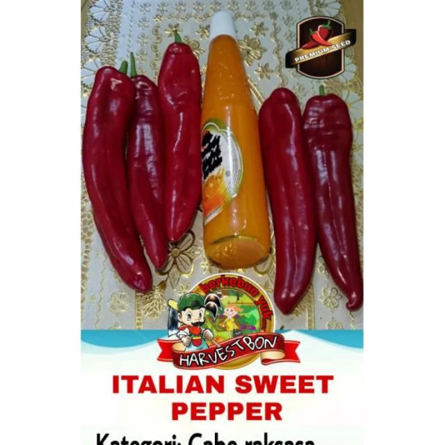 Jual Cabe raksasa | Shopee Indonesia