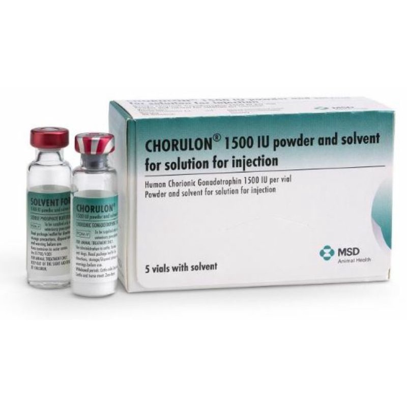 Jual HCG chorulon 1000iu. 1 box isi 5 ampule | Shopee Indonesia