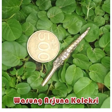 Jual Besi Kuning Kembang Kenanga | Shopee Indonesia