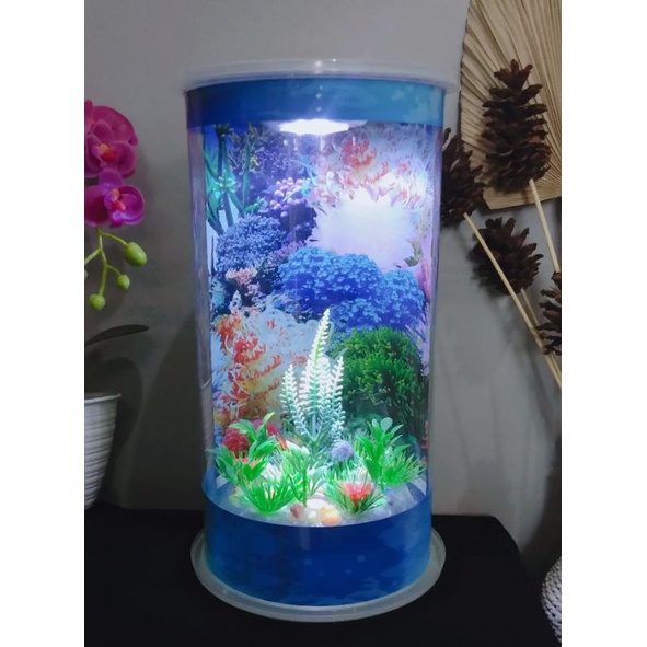 Jual 1730 - Aquarium Tabung Bulat JUMBO Aquascape Akuarium Mika - D ...