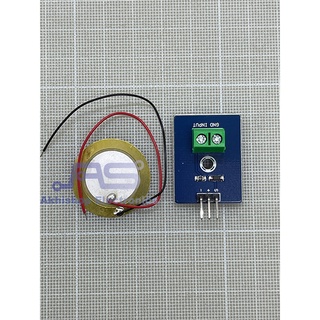 Jual Piezoelectric Piezo Vibration Sensor with Module Sensor Gerak Piezo | Shopee Indonesia
