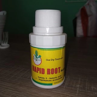 Jual rapid root Harga Terbaik & Termurah Agustus 2024 | Shopee Indonesia