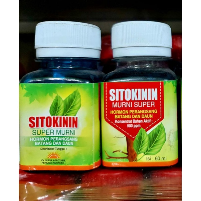 Jual SITOKININ 60 ml Hormon perangsang batang dan daun | Shopee Indonesia