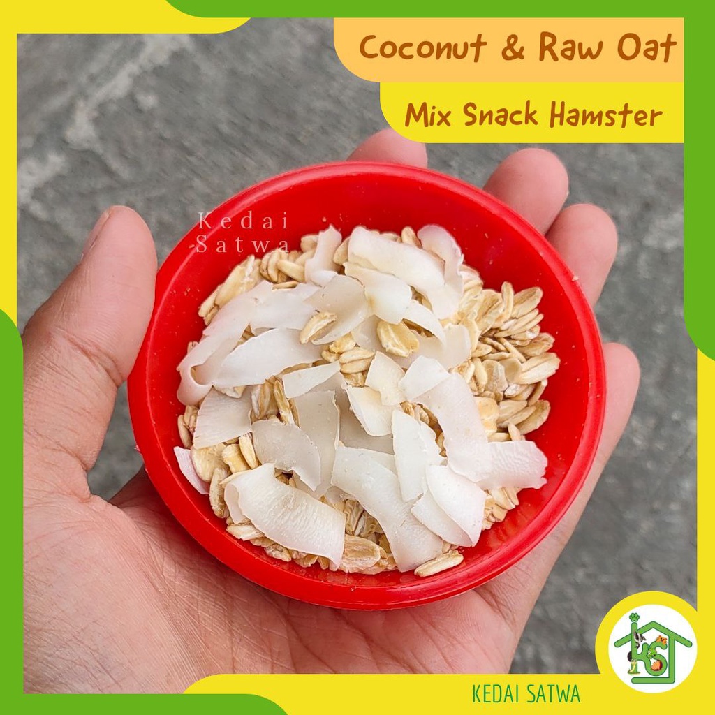 Jual Snack hamster | cemilan camilan hamster | raw rolled oat mix ...