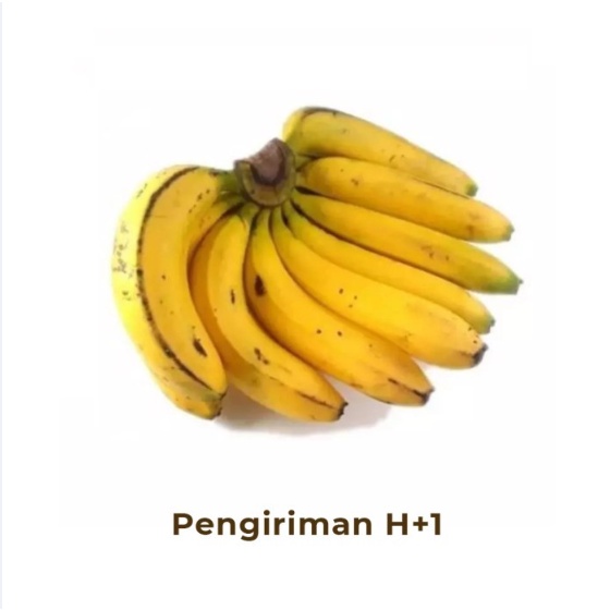 Jual Pisang Raja Segar 1 Sisir | Shopee Indonesia