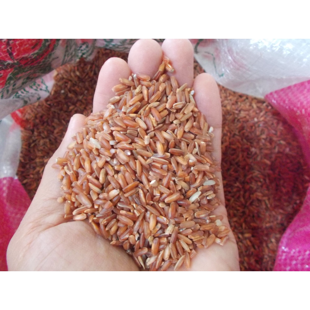 Jual Beras Merah Organik 1kg | Shopee Indonesia