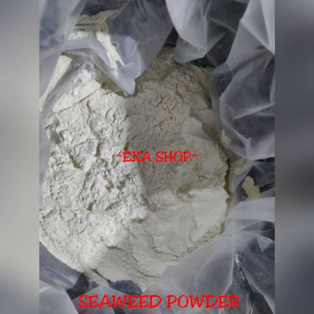 Jual TEPUNG RUMPUT LAUT BUBUK / EUCHEUMA SPINOSUM / SEAWEED POWDER 500 ...