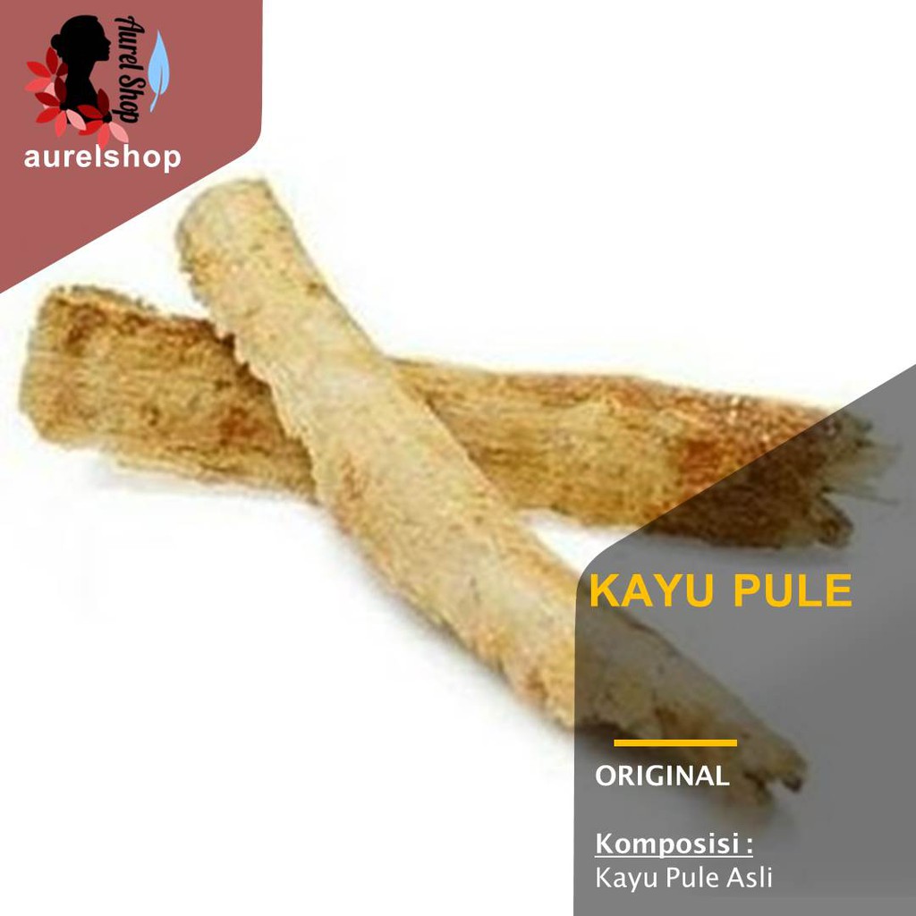 Jual Kulit Kayu Pule kering 250g, 500g, 1 kg / Pulai | Shopee Indonesia