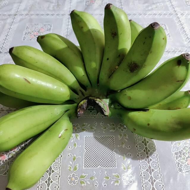 Jual Pisang Susu Jumbo Masak Pohon (6) | Shopee Indonesia