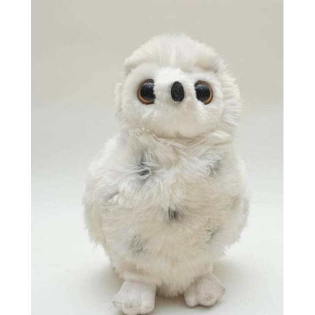 Jual Boneka Burung Hantu/ Snowy Owl | Shopee Indonesia