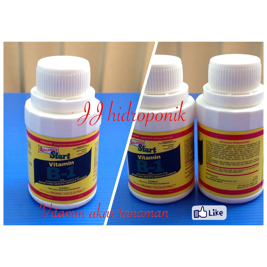 Jual Vitamin hormon B1 100 ml Liquinox start pindah tanam | Shopee ...