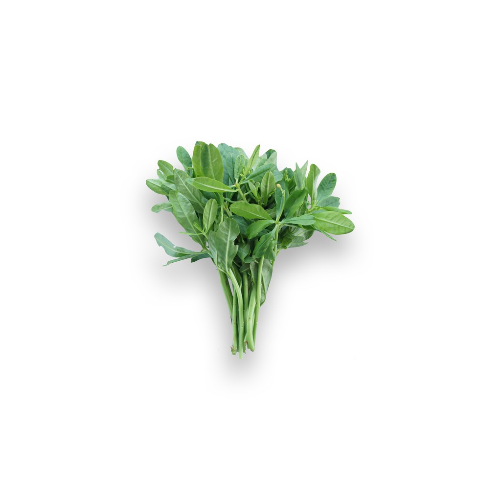 Jual SAYUR ORGANIK Daun Ginseng | Shopee Indonesia
