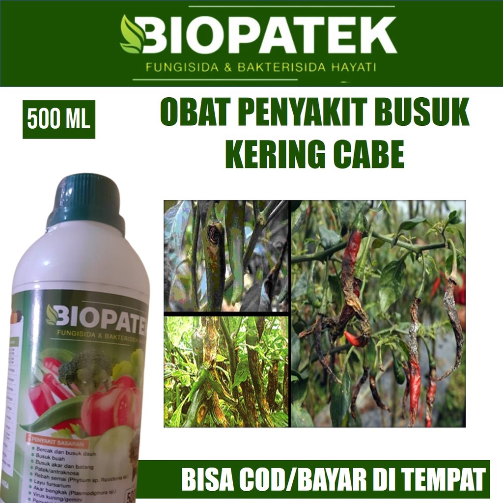 Jual [REKOMENDED] BIOPATEK 500 ML OBAT BUSUK CABE, PUPUK SEMPROT BUSUK DAN PATEK CABE/CABAI ...