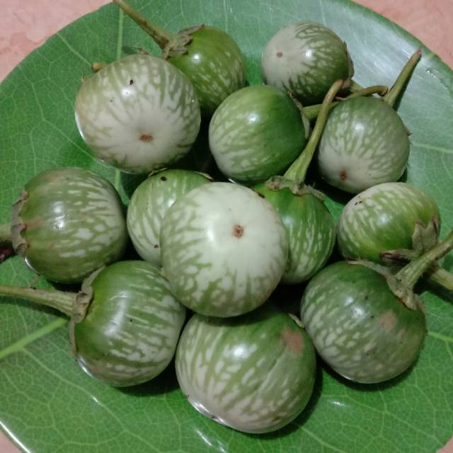 Jual Terong ijo 250 gram sayur bandung | Shopee Indonesia