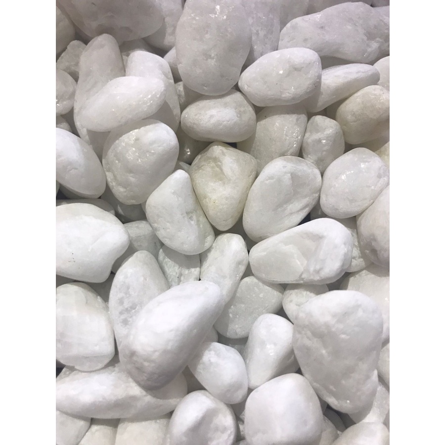 Jual BATU KORAL PUTIH ITALY MIX IMPORT 20 KG | Shopee Indonesia