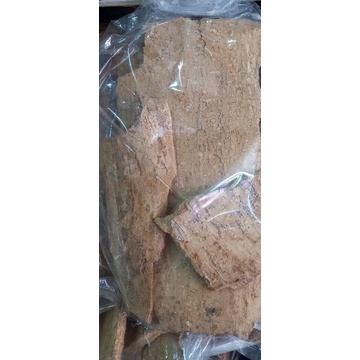 Jual Herbal kulit kayu pule 500gr | Shopee Indonesia