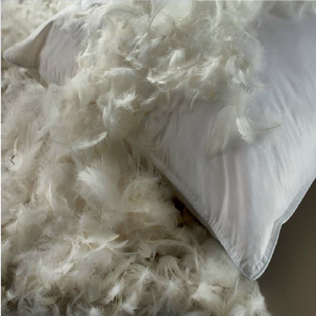 Jual Hebden Bantal Bulu Angsa 48 x 74 Buy 1 Get 1 | Shopee Indonesia