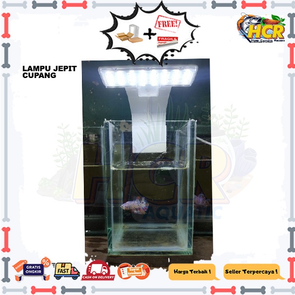 Jual Lampu Selfie tank Cupang LED Jepit Kaca 5mm | Shopee Indonesia