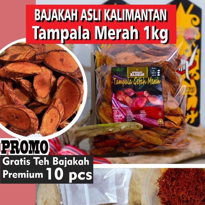 Jual monggo] Akar Bajakah Tampala Getah Merah 1 Kg Asli Kalimantan ...