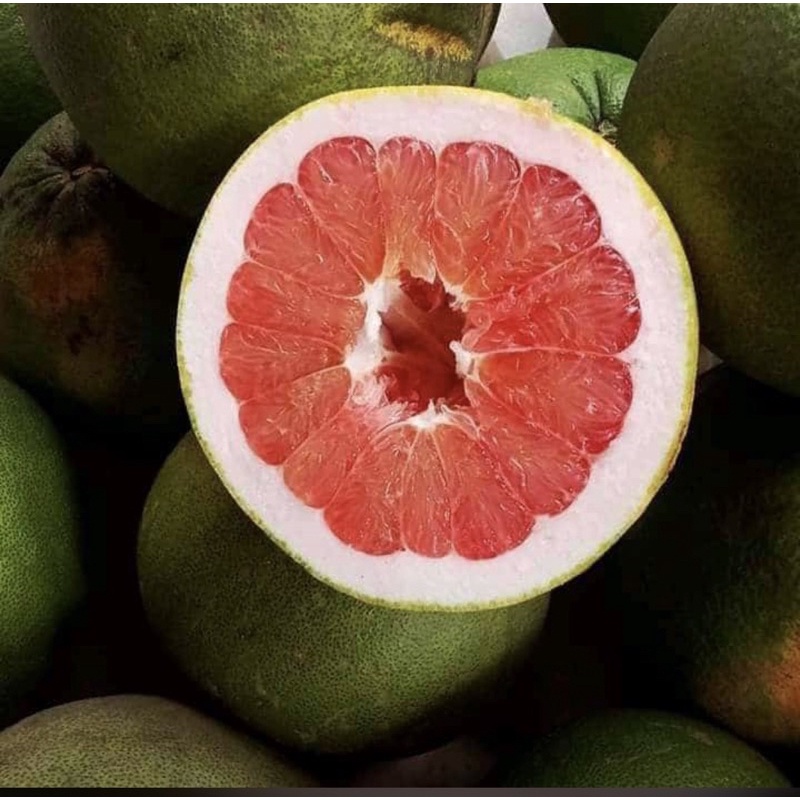 Jual jeruk pamelo madu pati berat 1,5-1,7 | Shopee Indonesia