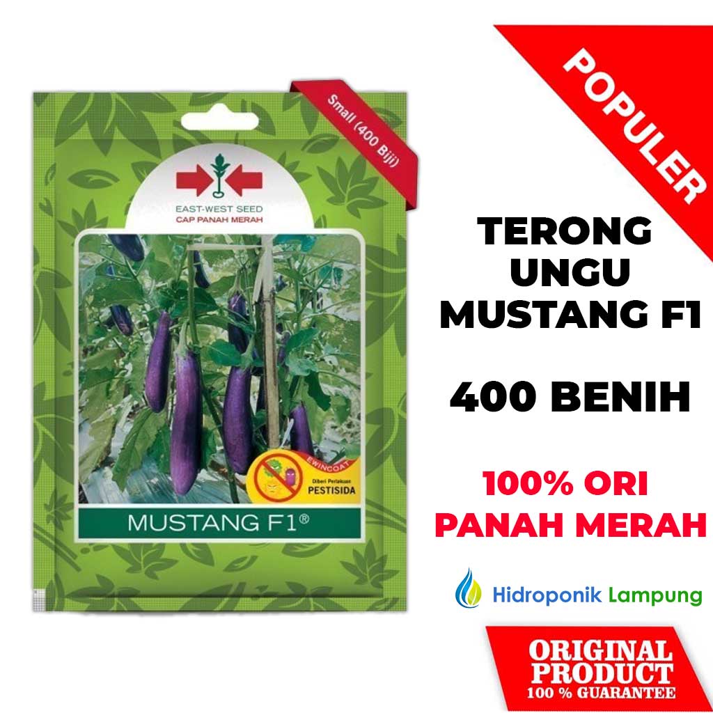 Jual BENIH BIBIT TERONG UNGU MUSTANG F1 SP ISI 400 BENIH CAP PANAH MERAH | Shopee Indonesia