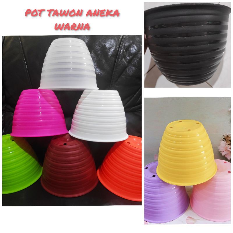 Jual POT 18 dan 21 TANAMAN BUNGA TAWON PUTIH WARNA DAN TRANSPARAN ...