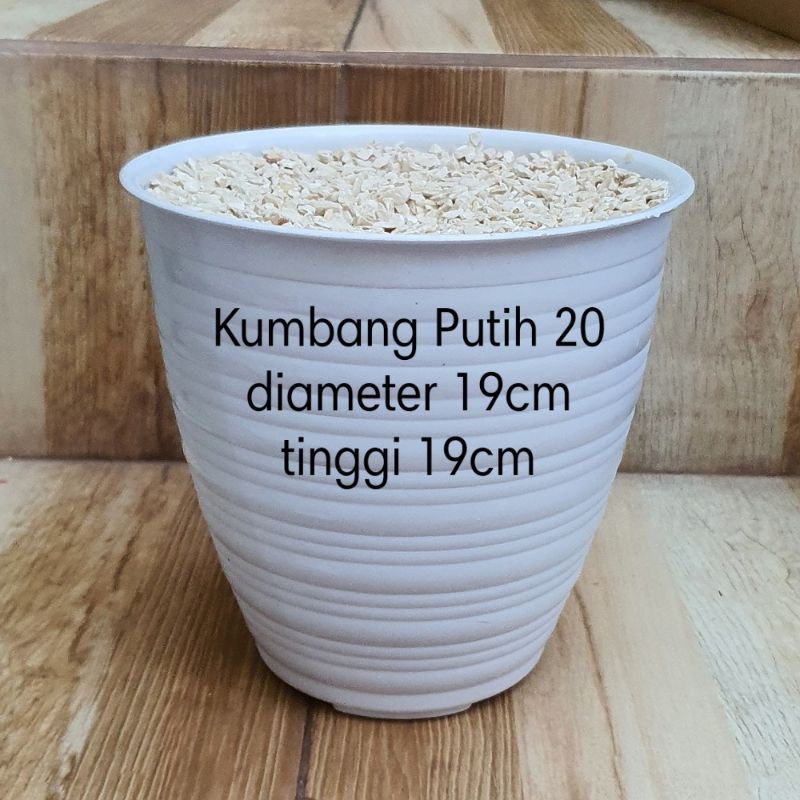 Jual pot kumbang + busa + batu diameter 19 cm | Shopee Indonesia
