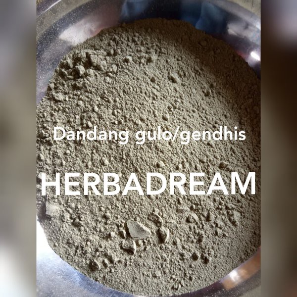 Jual 1 KG BUBUK DANDANG GENDIS GENDHIS GULA GULO CLINACANTHUS NUTANS ...