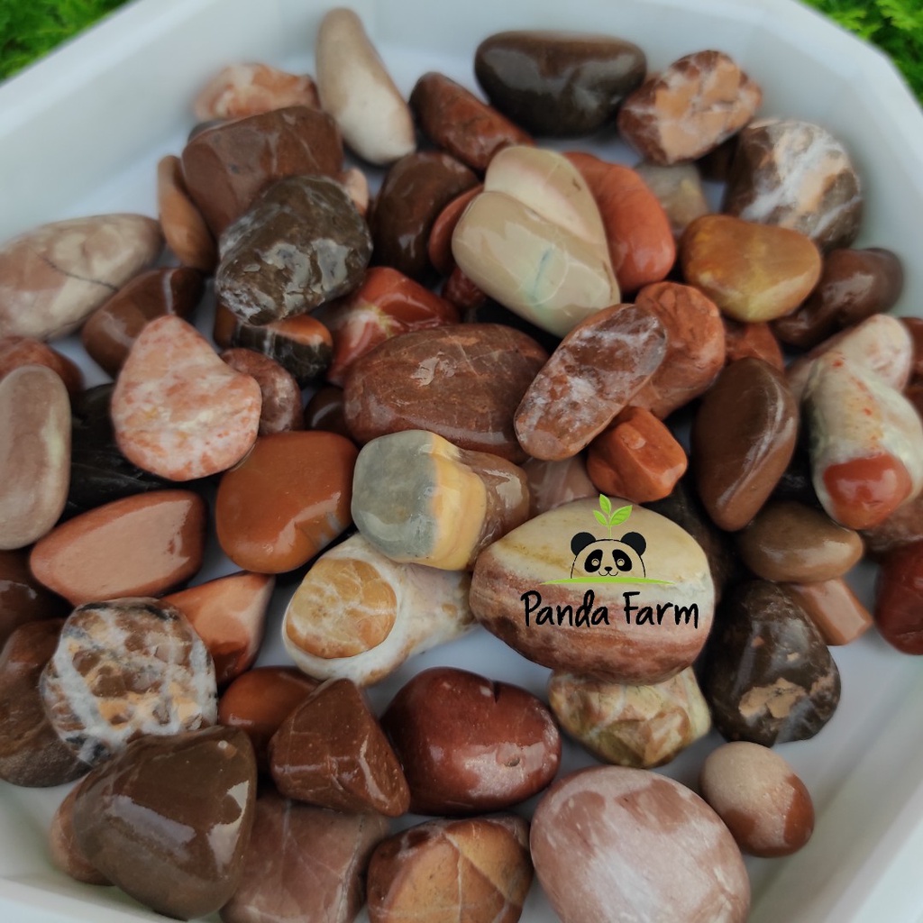Jual Batu Alam Koral Tabur Kerikil Hias Merah Hati - 1 Karung | Shopee ...
