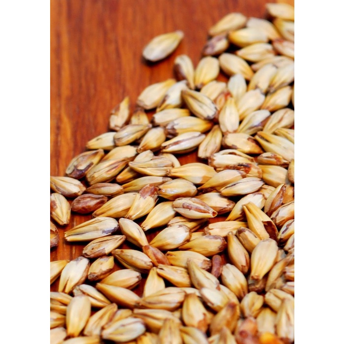 Jual Imattonshop unmalted barley seed malt | Shopee Indonesia