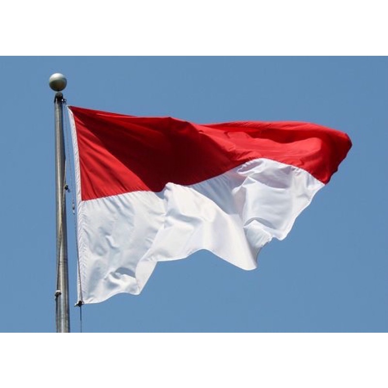 Jual Bendera promo bendera hari ini Merah putih ukuran standar/Bendera ...