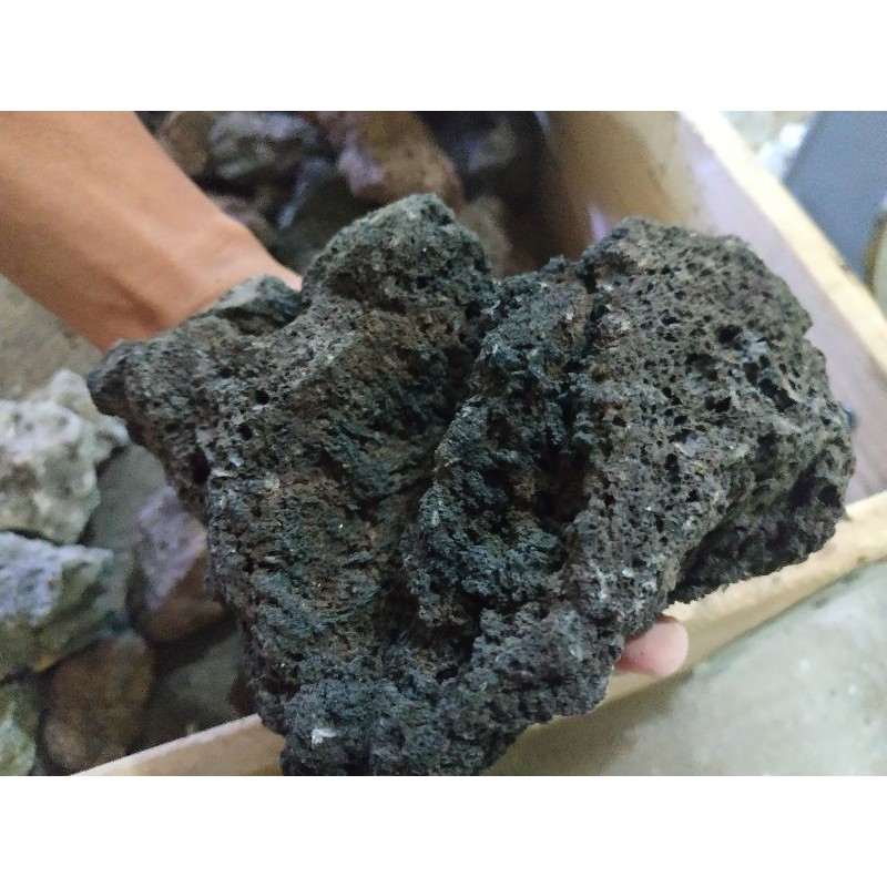 Jual Batu Lava Rock (Hitam) | Shopee Indonesia