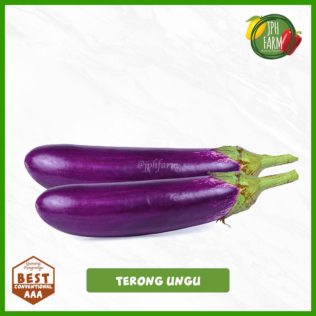 Jual Terong Ungu, Terung Sayur, Eggplant 500g | Shopee Indonesia